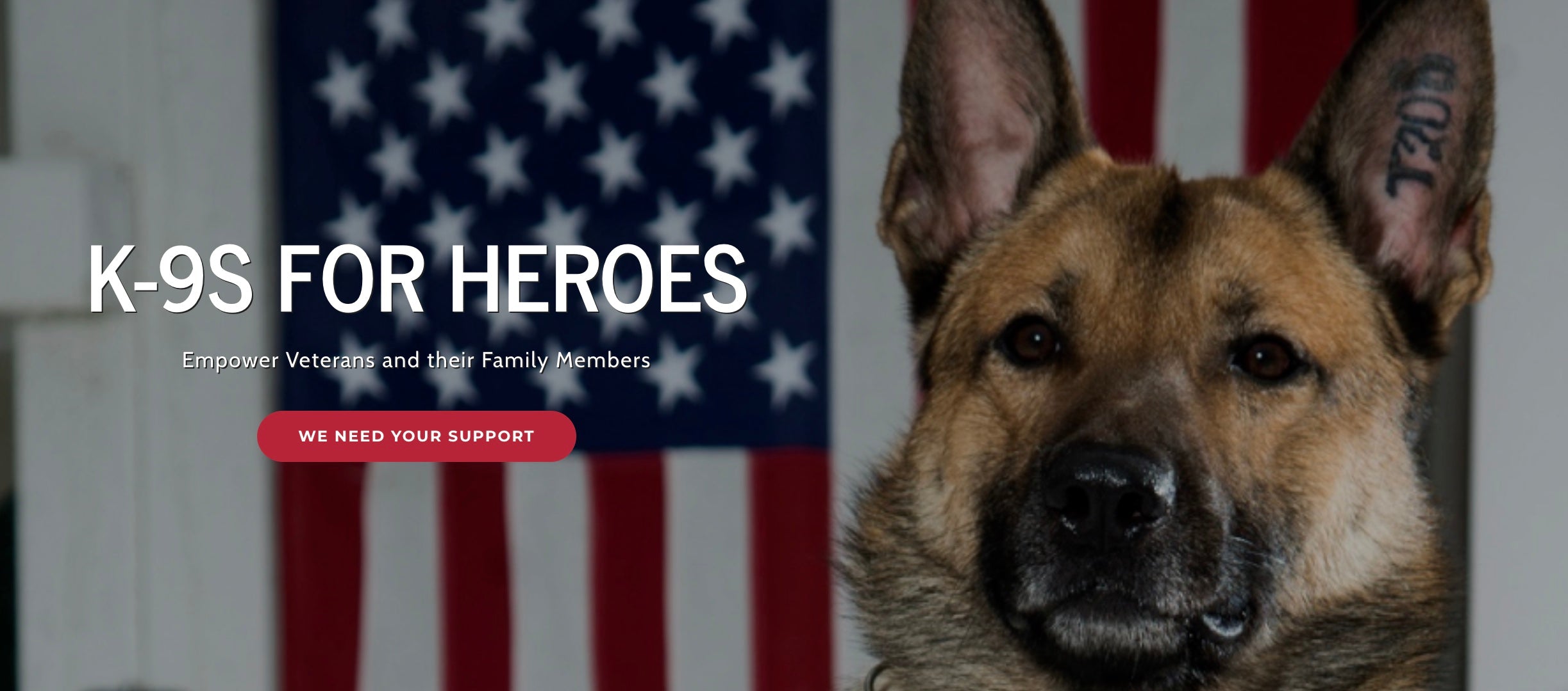 K-9s for Heroes – Wind River